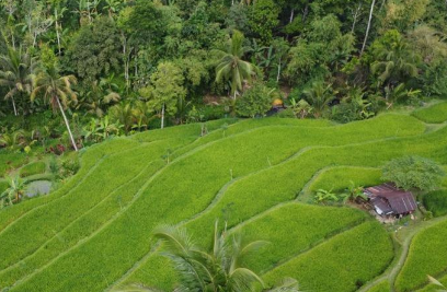 Lemukih Village Exploration Trekking the truth expedition