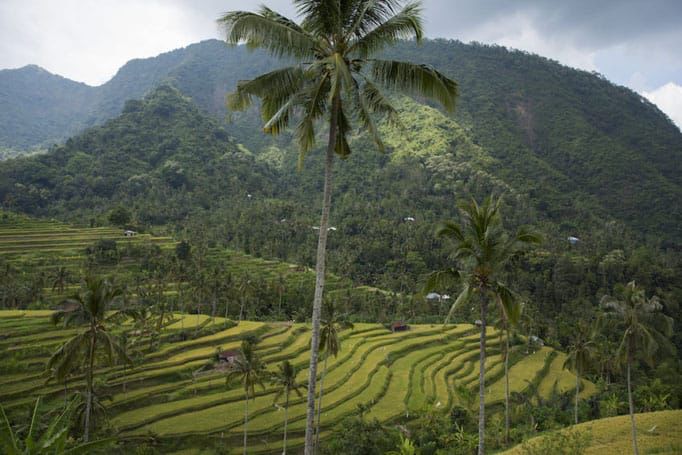 Lemukih Village Exploration Trekking the truth expedition